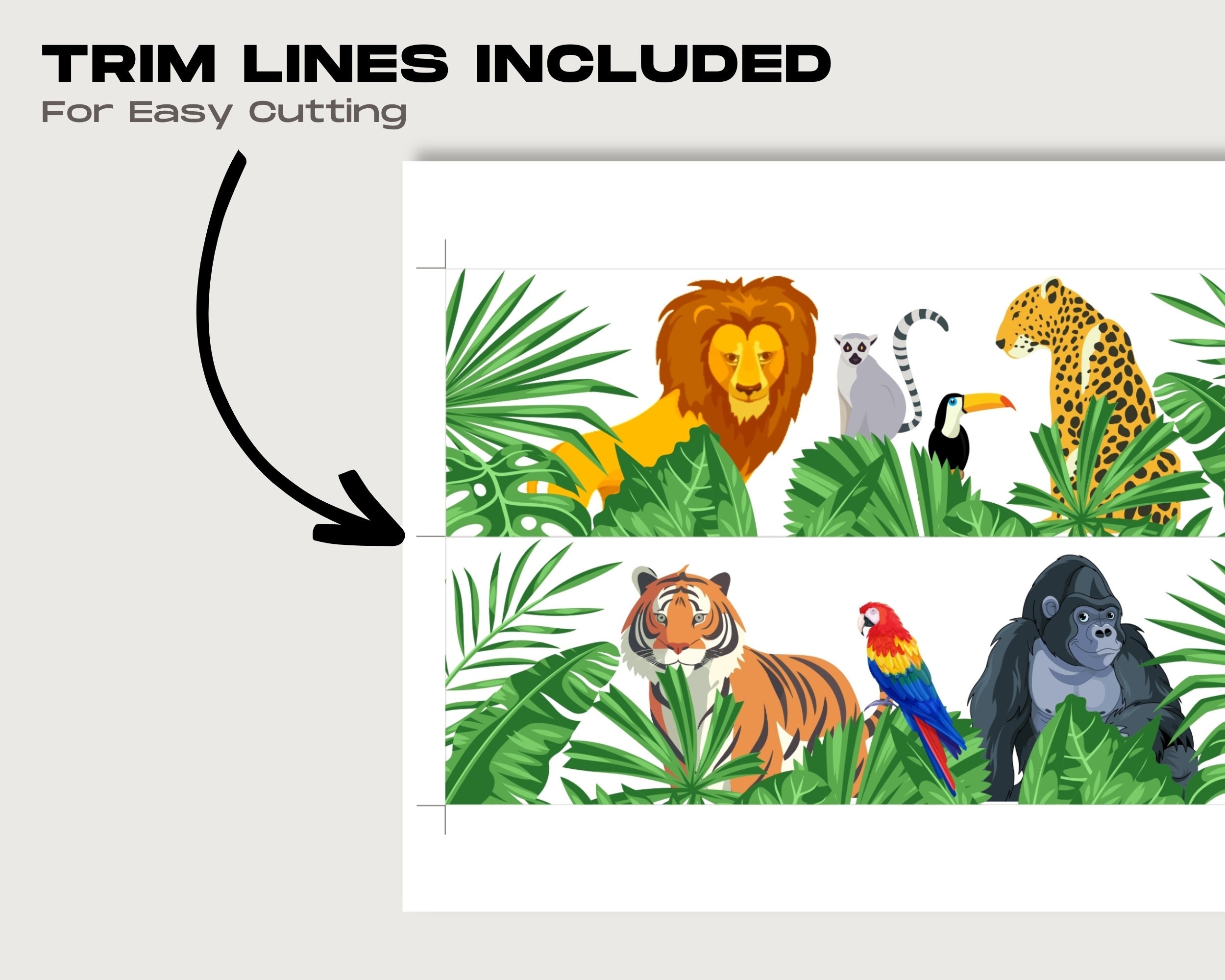 Jungle Borders, Editable Bulletin Boarders, Foliage Borders, Teacher ...