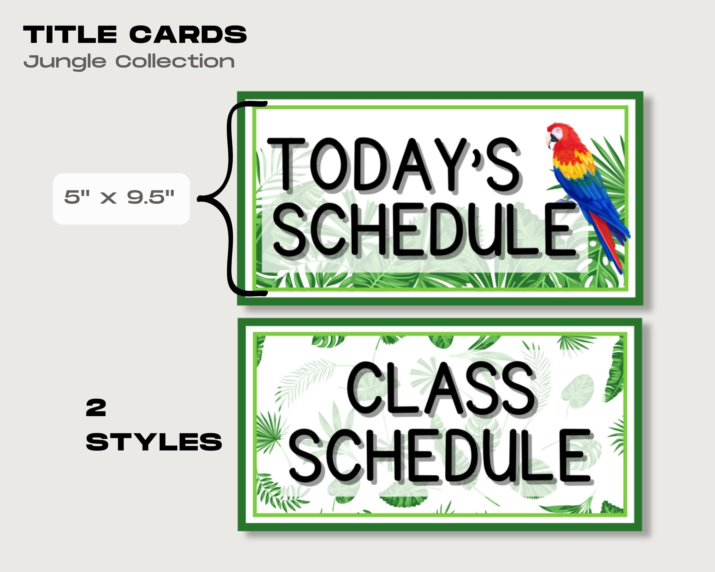 Jungle Class Schedule Display, Classroom Schedule Bundle, Editable ...