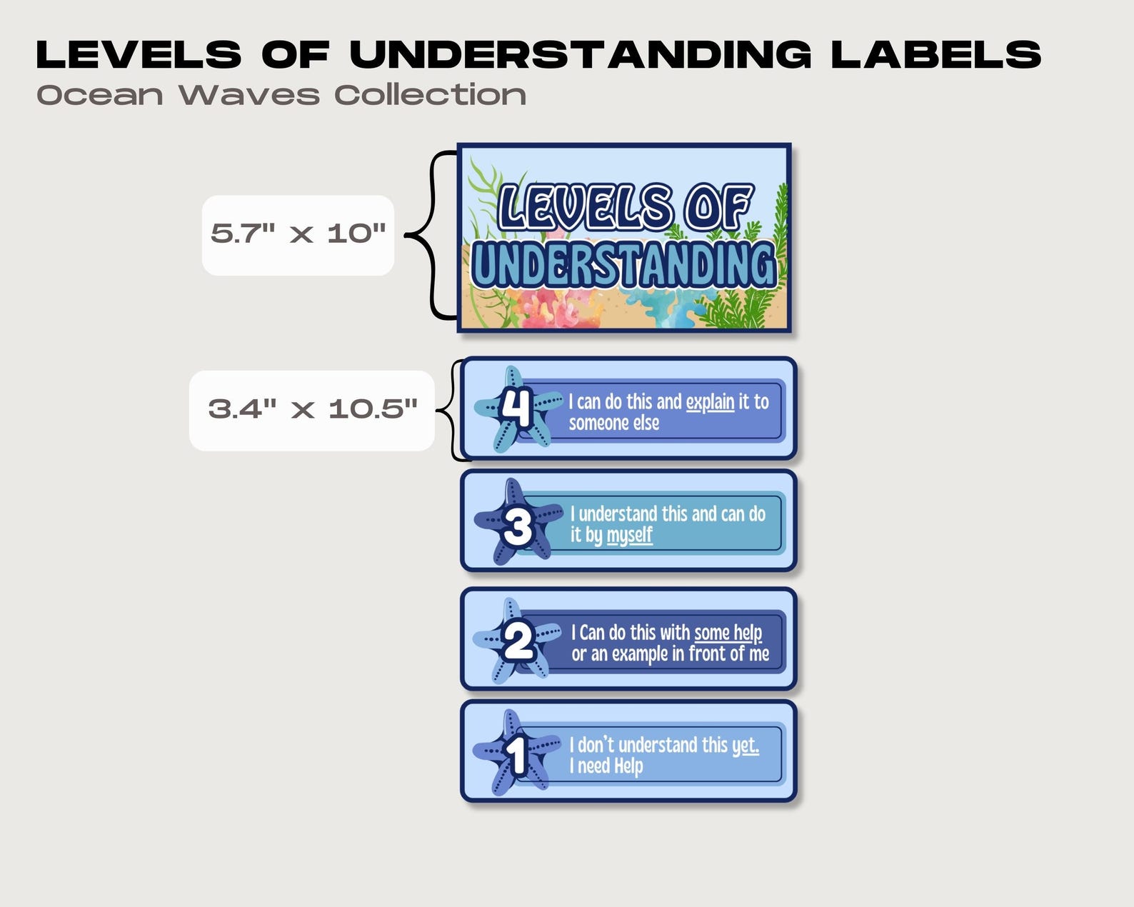 Ocean Theme Levels of Understanding, Printable & Editable Levels of ...