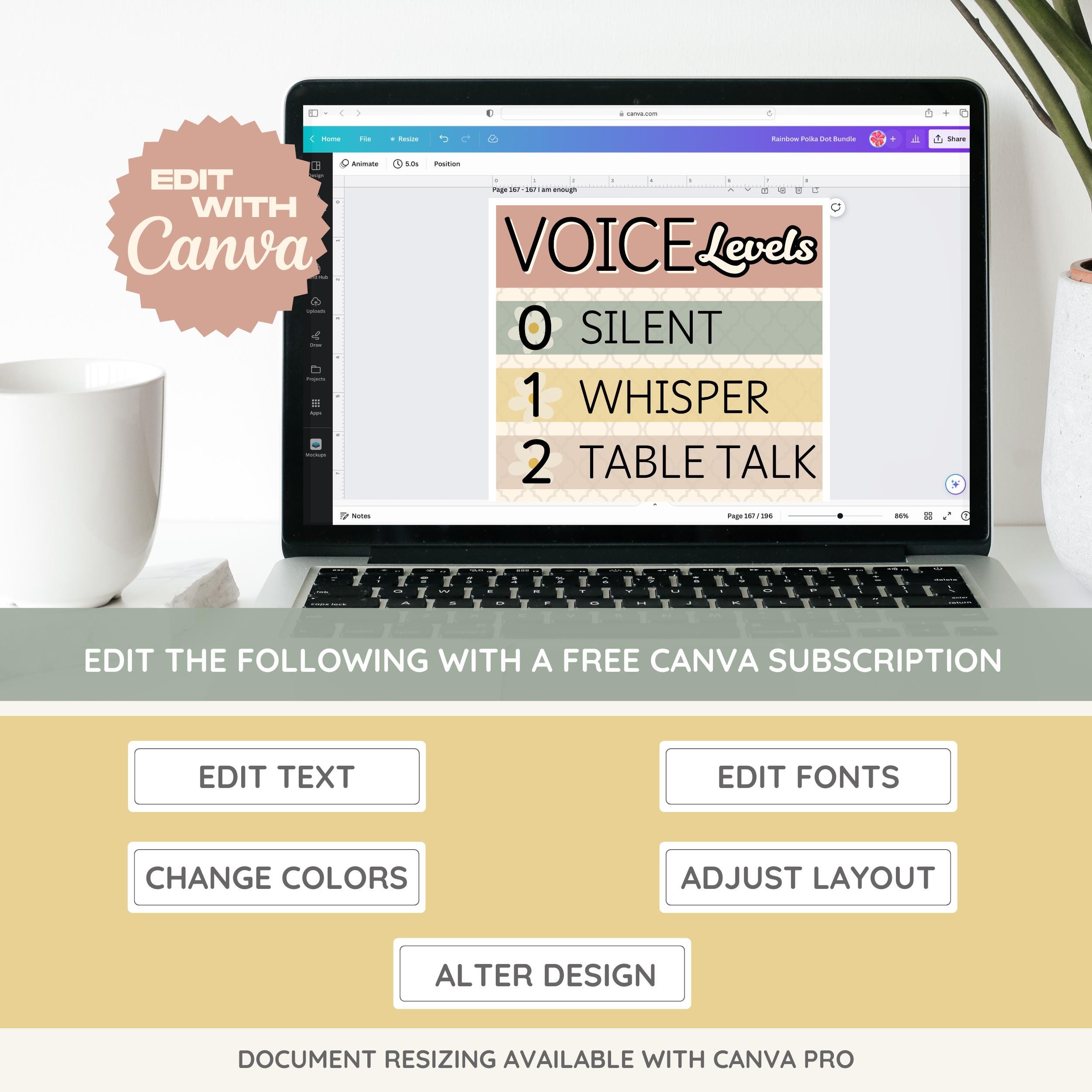 Boho Voice Levels Posters, Printable Voice Levels Bundle, Editable ...