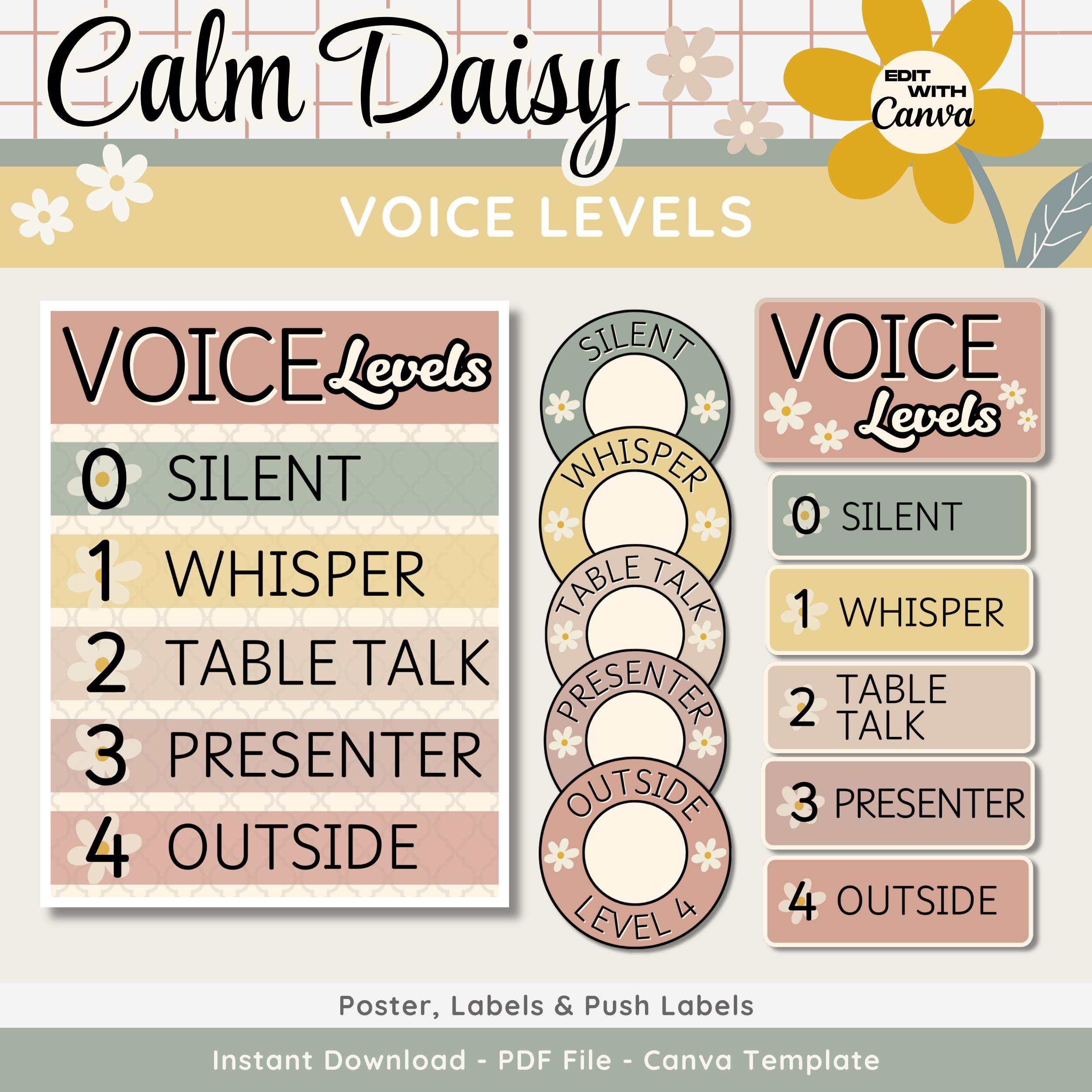 Boho Voice Levels Posters, Printable Voice Levels Bundle, Editable ...
