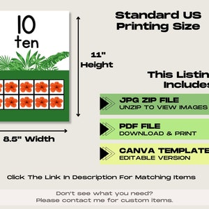 Jungle Numbers, Editable 0-20 Posters, Skip Counting, Number Line, Ten ...