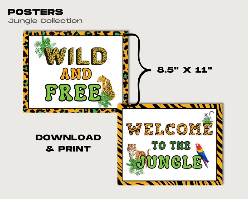 Jungle Bulletin Board Kit, Back to School Bulletin Board, Jungle ...