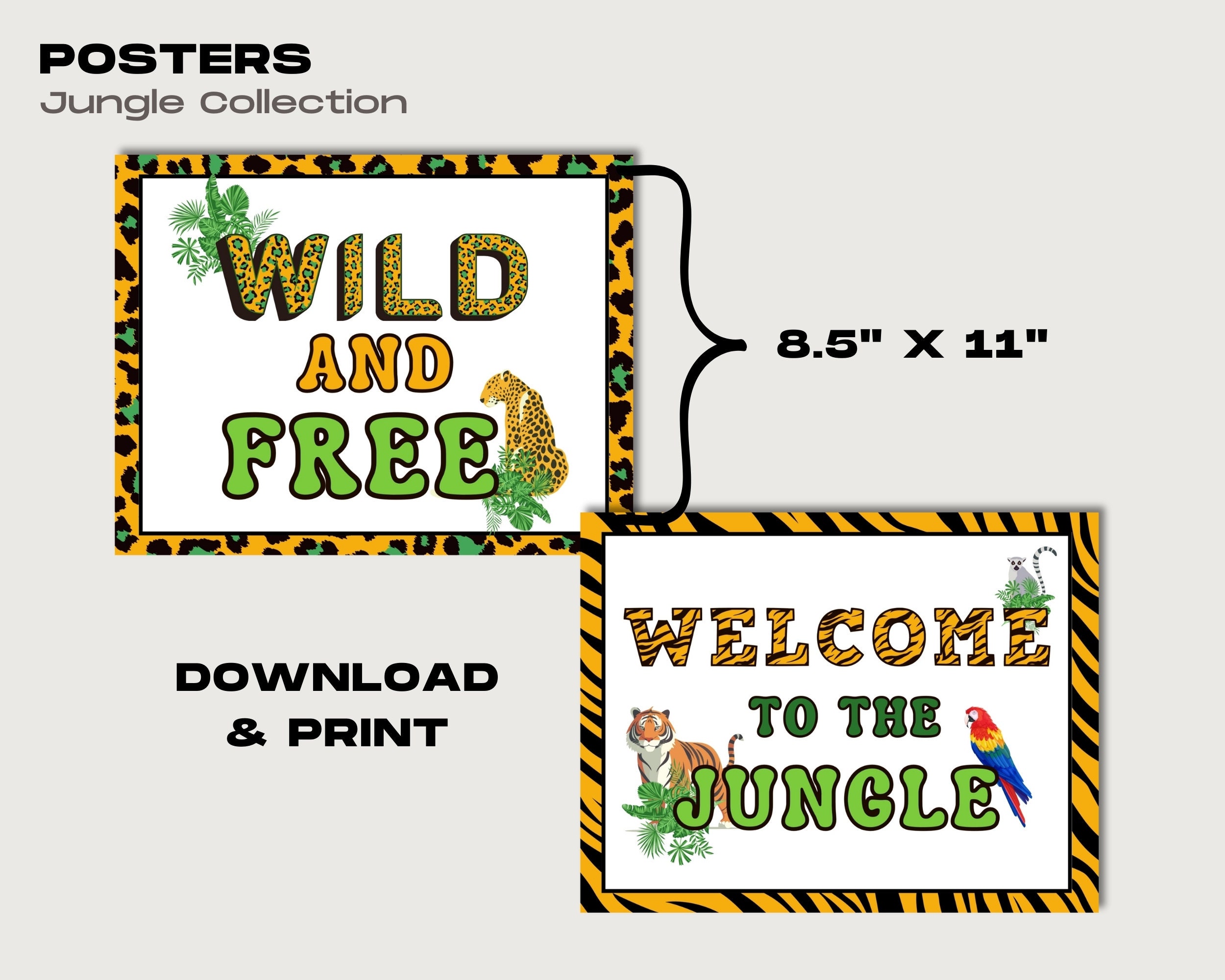 Jungle Bulletin Board Kit, Back to School Bulletin Board, Jungle ...