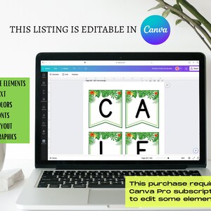 Jungle Calendar Bundle: Editable Classroom Decor (canva Template) - Etsy