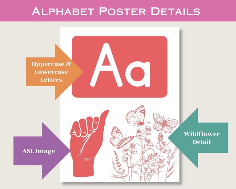 Buy Wildflower Alphabet Posters: ASL Letter Learning, Homeschool Decor ...