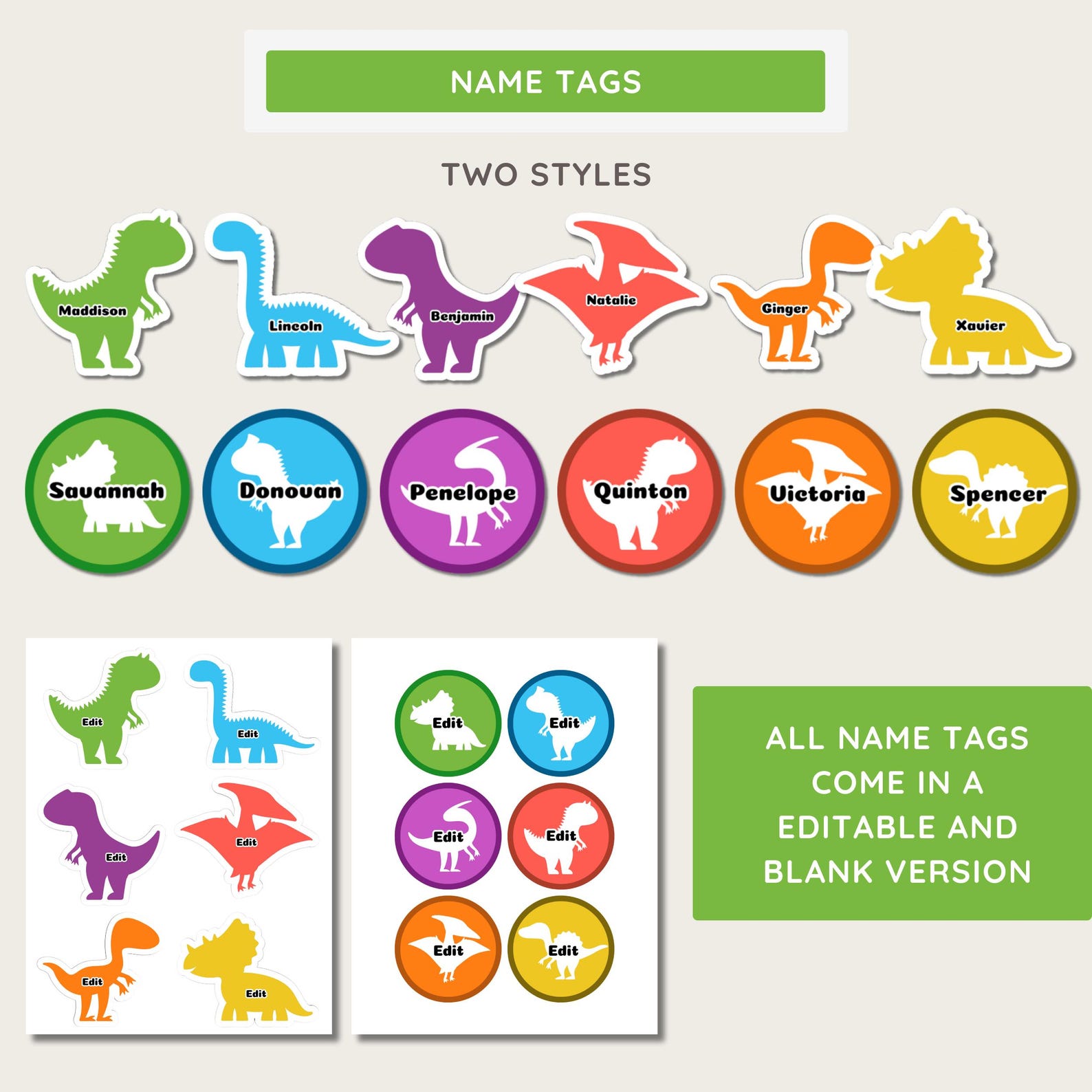Dinosaur Classroom Bulletin Board Kit: Editable Dino Decor (canva ...