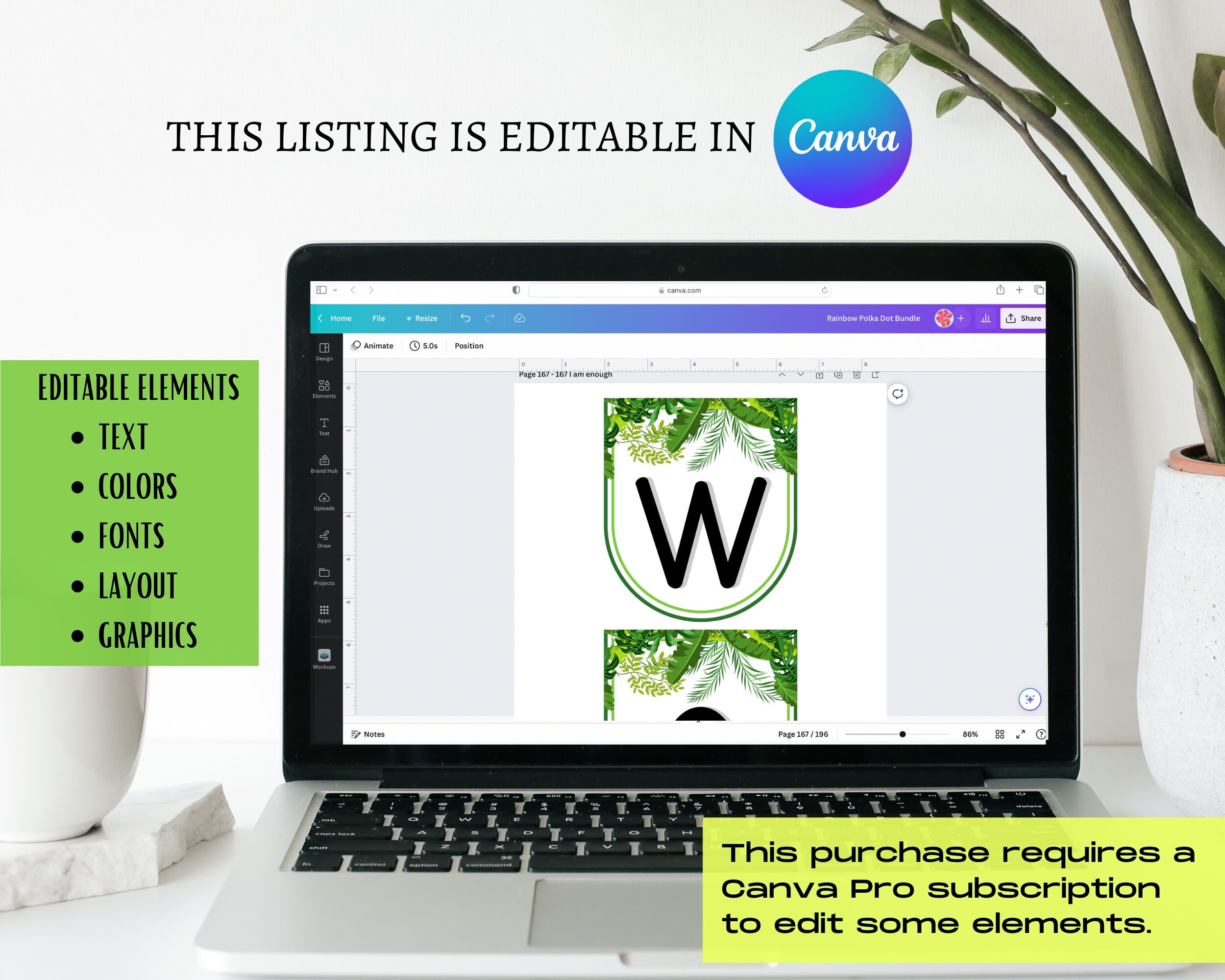 Jungle Word Wall, Primary Word Display, Editable Word Wall Printable ...