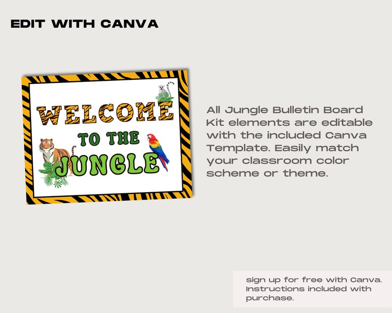Jungle Bulletin Board Kit, Back to School Bulletin Board, Jungle ...
