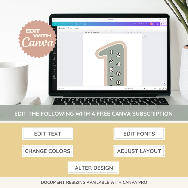 Boho Skip Counting Number Line Posters: Calm Daisy Classroom Decor ...