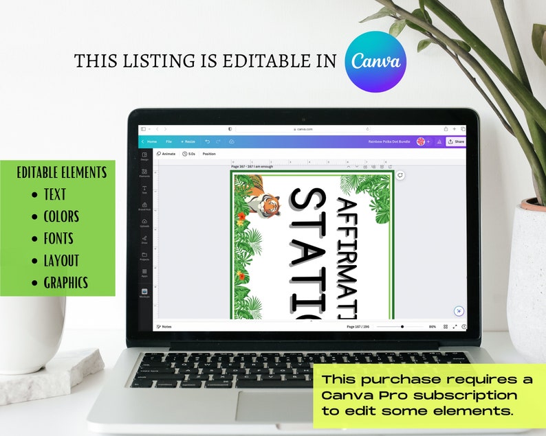 Jungle Affirmation Bundle, Classroom Affirmation Station, Editable ...