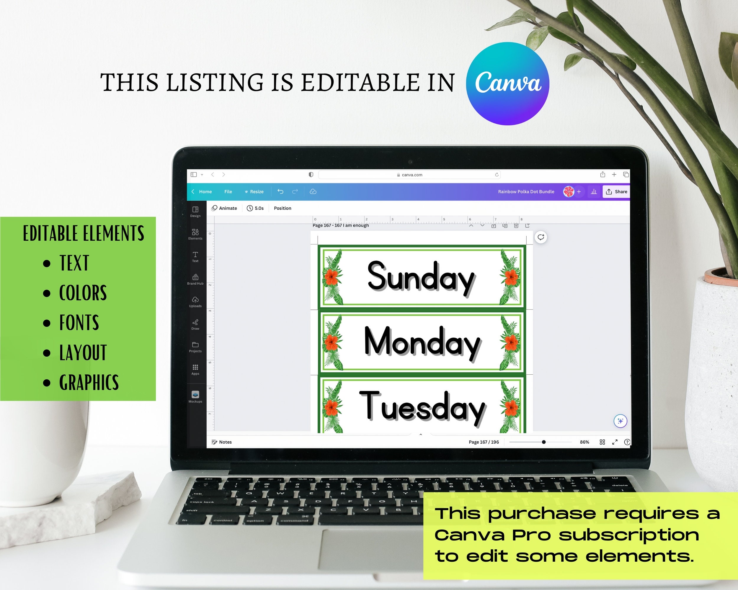 Jungle Flip Calendar, Hanging Calendar Display, Editable Calendar ...