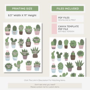 Succulent Birthday Classroom Decor Kit: Editable Printable Display ...