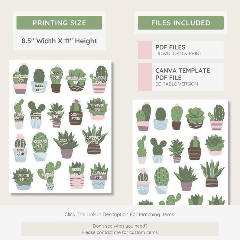 Succulent Birthday Classroom Decor Kit: Editable Printable Display ...