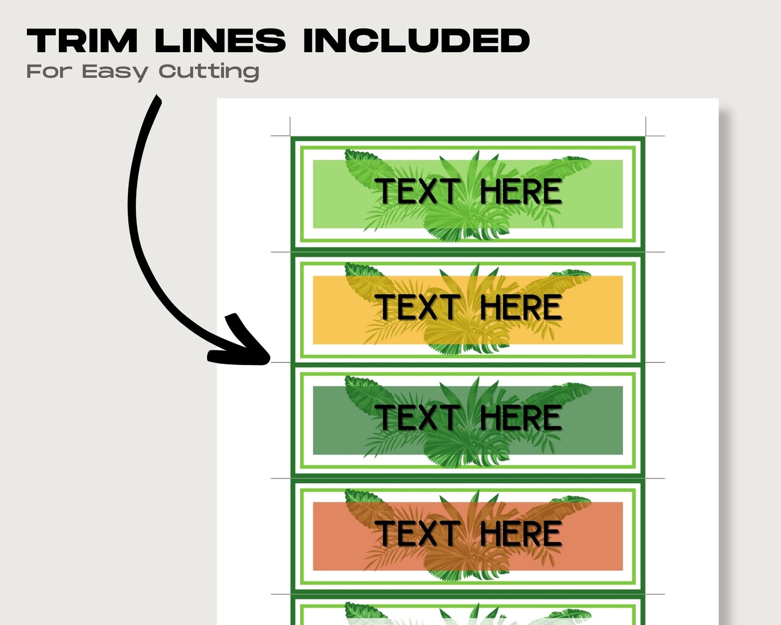 Jungle Labels: Editable Classroom Organization, Canva Template (instant ...