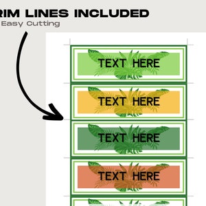 Jungle Labels: Editable Classroom Organization, Canva Template (instant ...