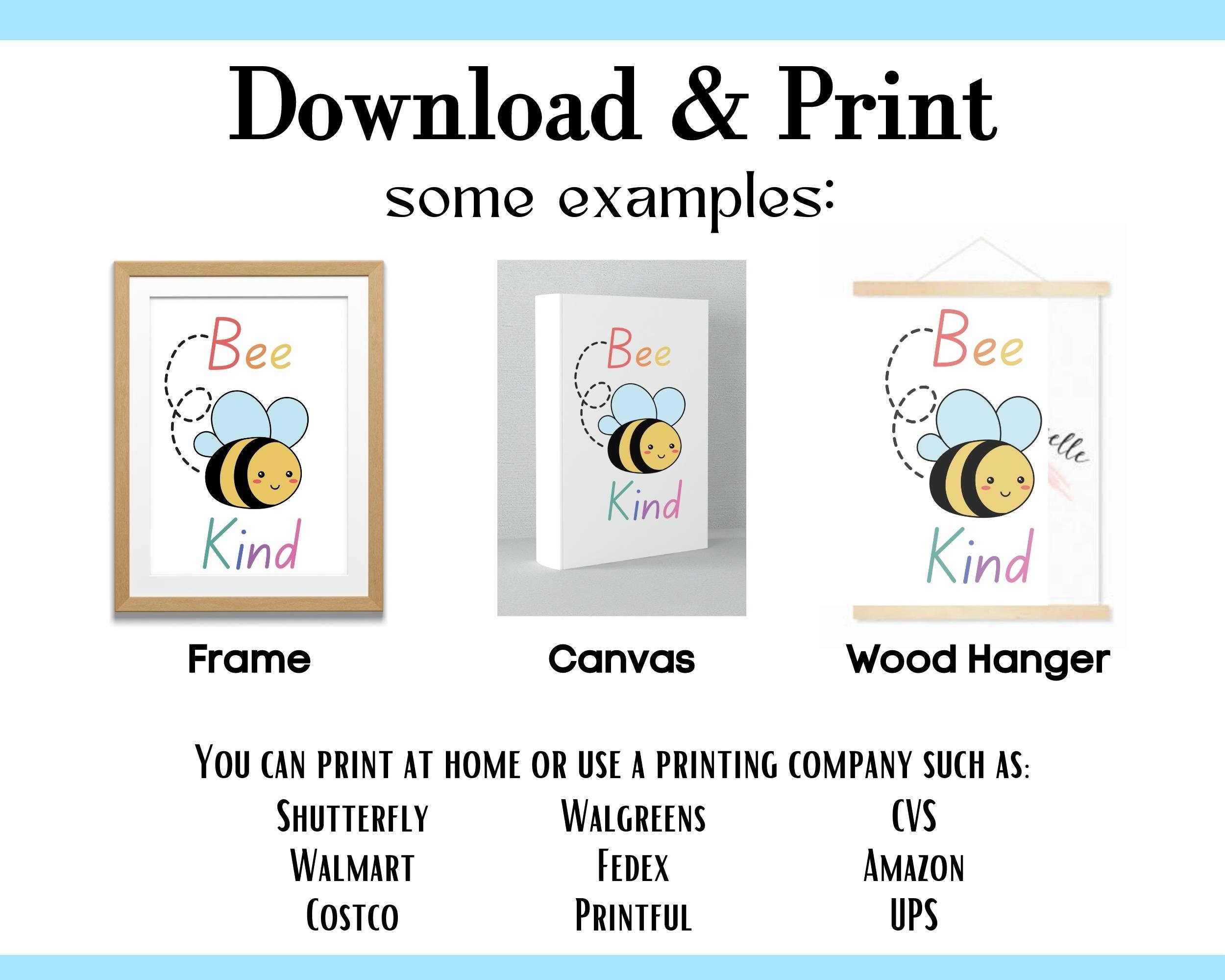 Pre-k Toddler Animal Alphabet Flash Cards, 26 Bright Animal Alphabet ...