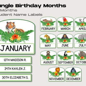 Jungle Animals Birthday Display: Editable Teacher Printable (canva ...