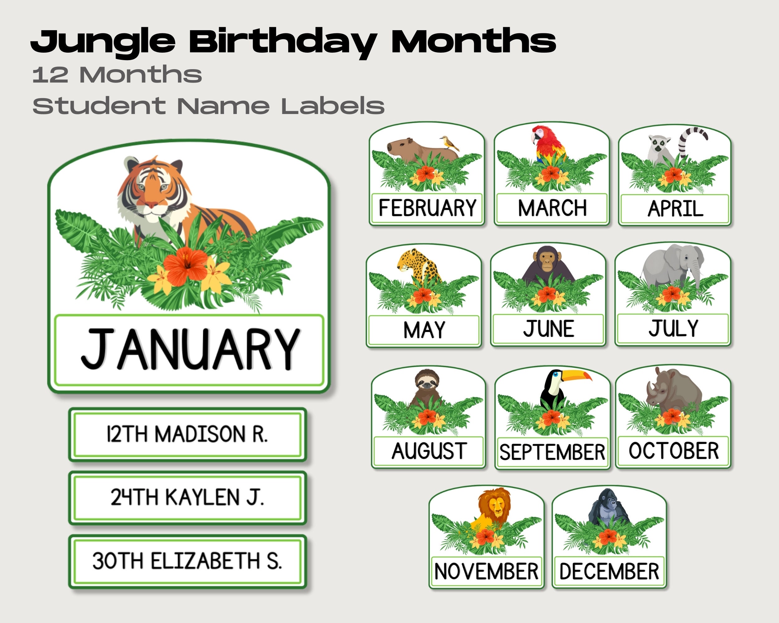 Jungle Animals Birthday Display: Editable Teacher Printable (canva ...