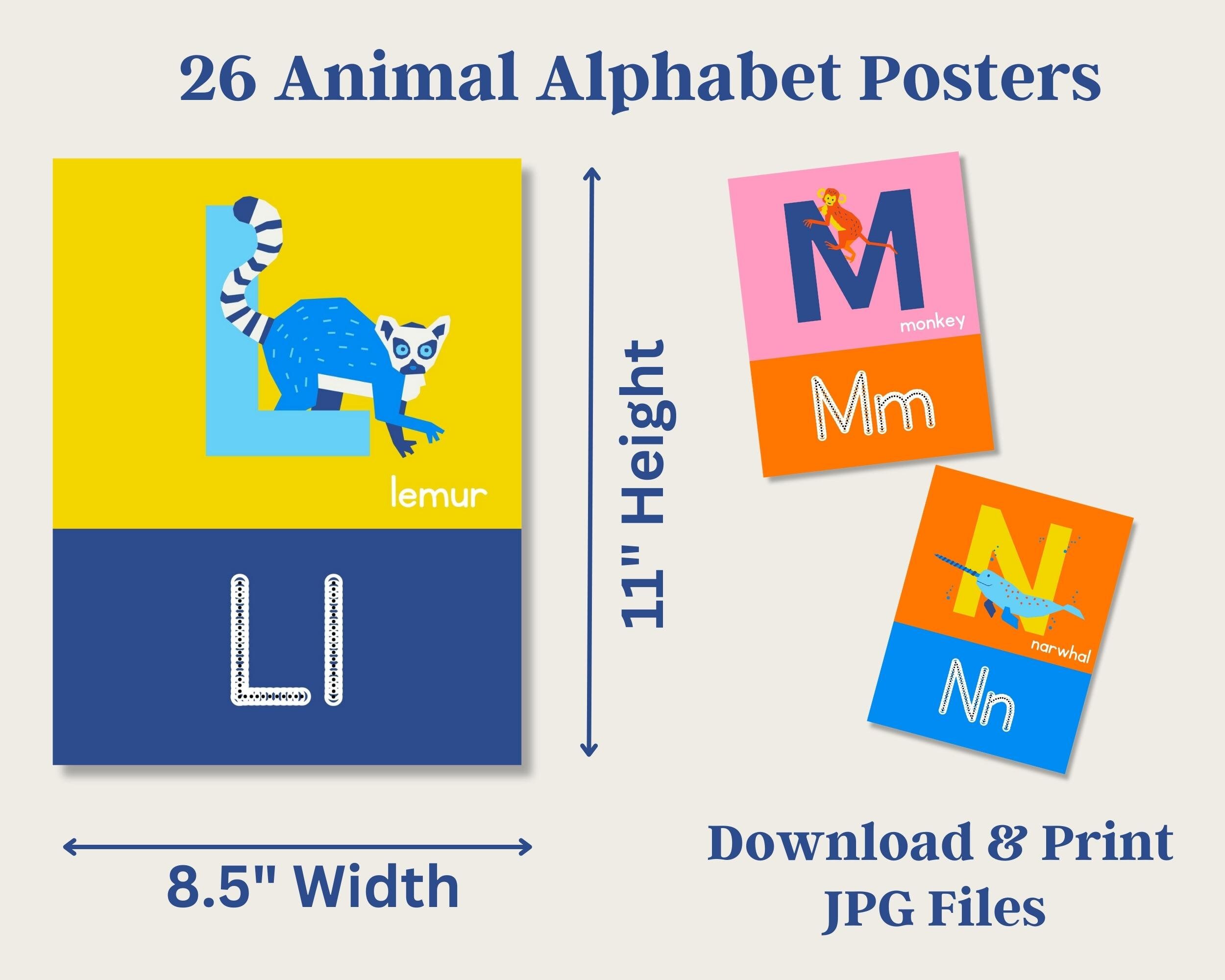 Pre-k Toddler Animal Alphabet Flash Cards 26 Bright Animal - Etsy