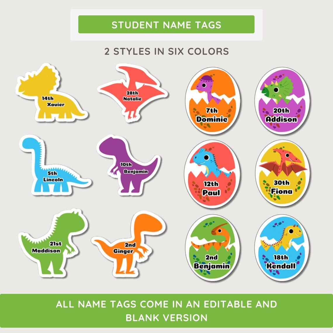 Dinosaur Birthday Bulletin Board Kit: Dino Egg Classroom Decor (canva ...