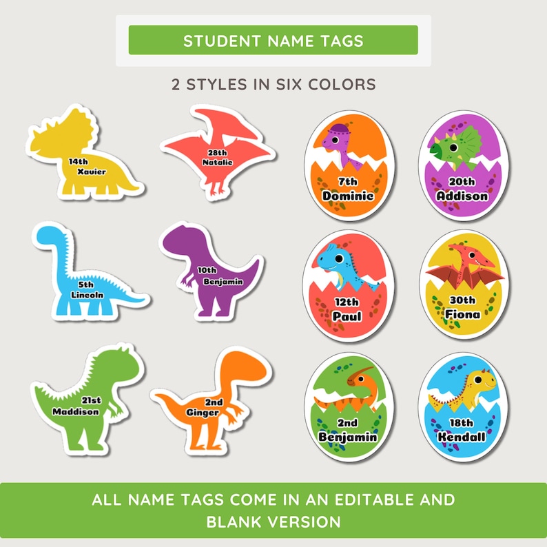 Dinosaur Birthday Bulletin Board Kit: Dino Egg Classroom Decor (canva ...
