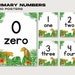 Jungle Numbers, Editable 0-20 Posters, Skip Counting, Number Line, Ten ...