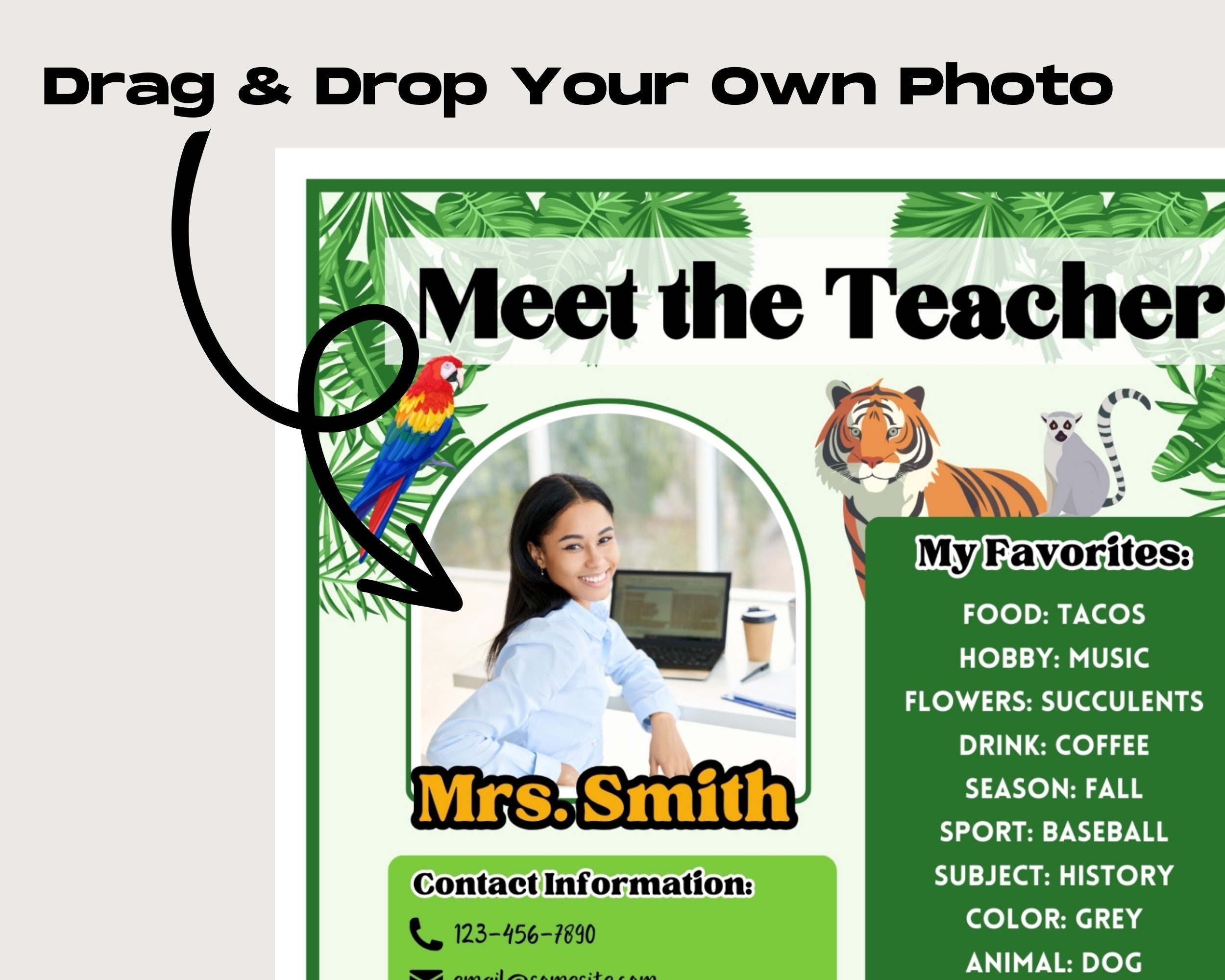 Jungle Meet the Teacher Printable, Editable Teacher Introduction ...