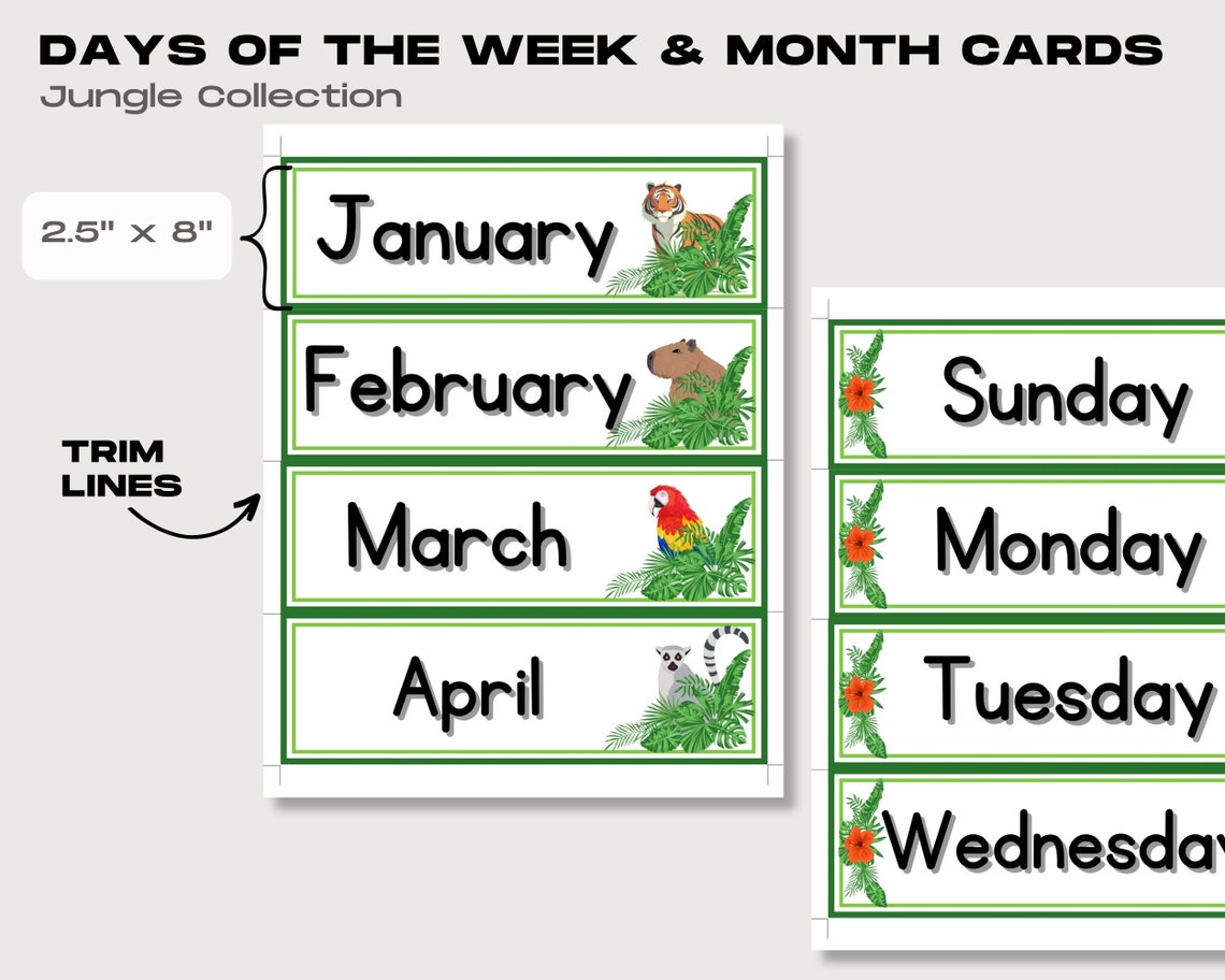 Jungle Classroom Flip Calendar: Editable Display (canva Template ...