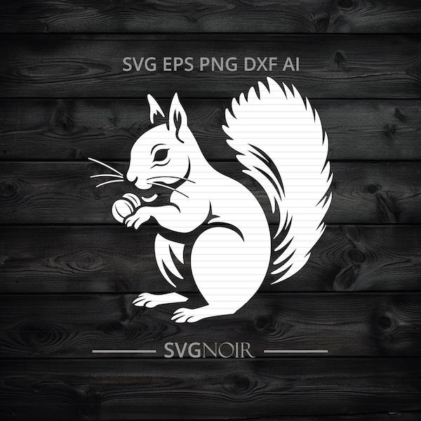 Squirrel Svg - Etsy