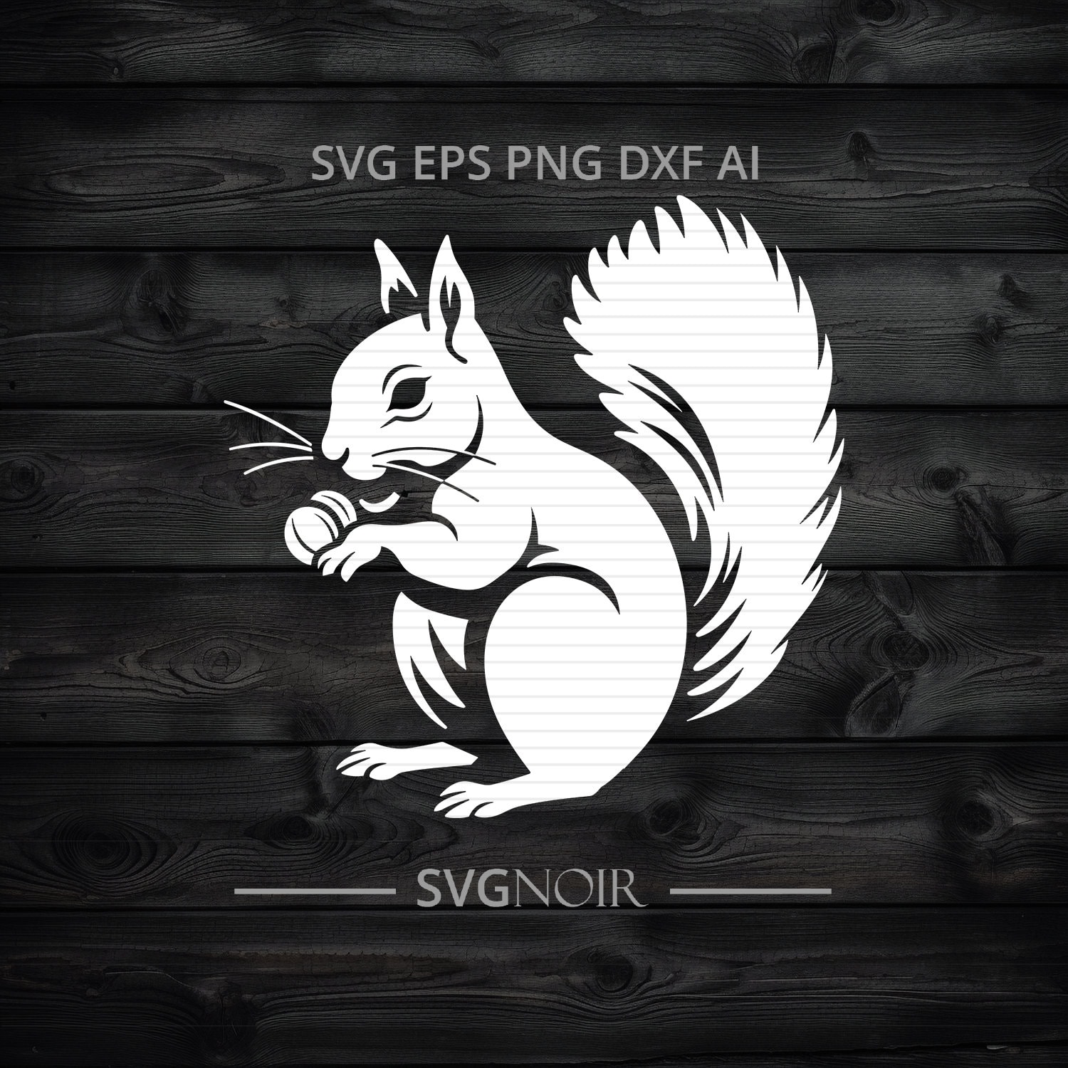 Squirrel Svg Vector Graphic PNG EPS Dxf SVG Ai - Etsy