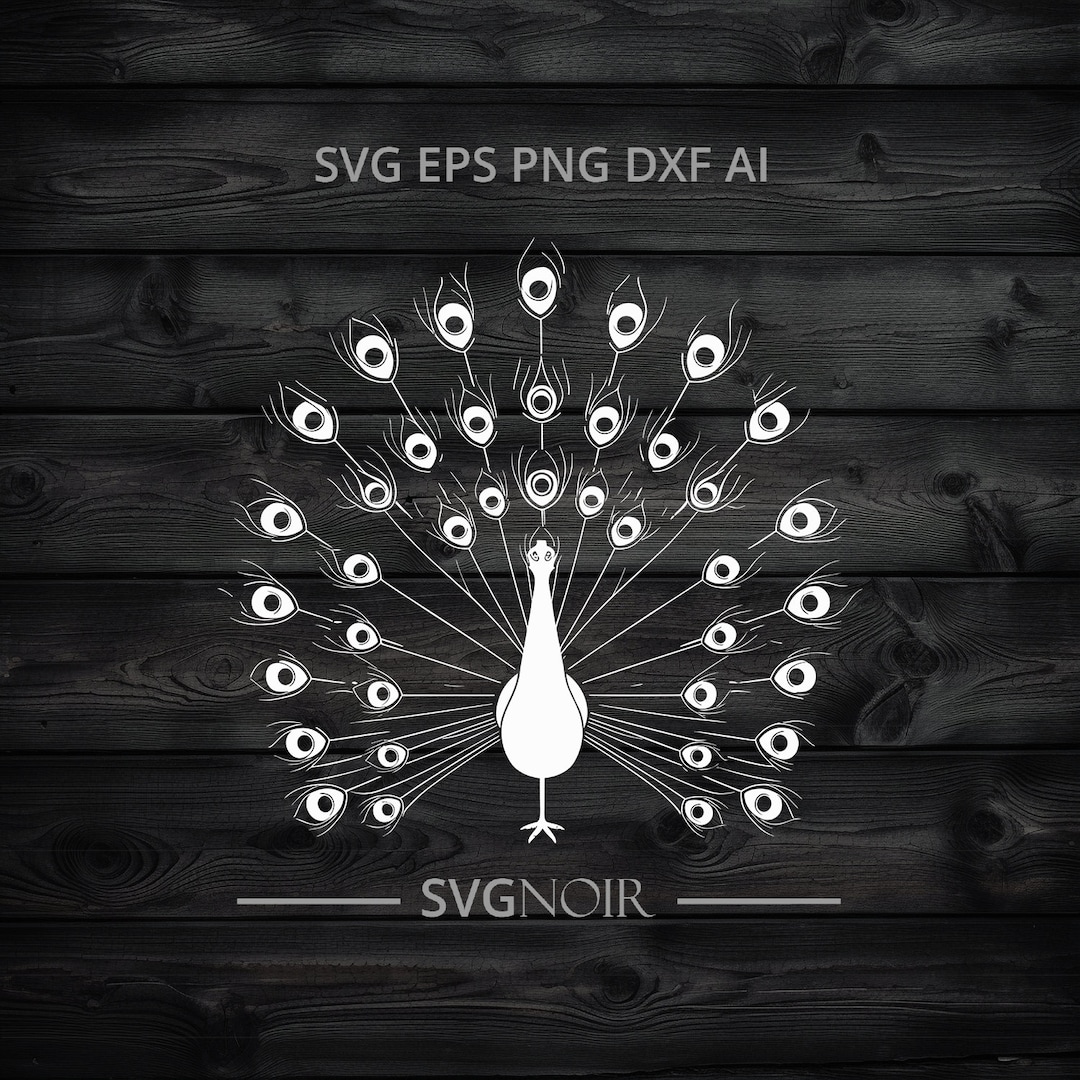 Pavo real svg / Gráfico vectorial / PNG EPS dxf SVG ai / - Etsy México