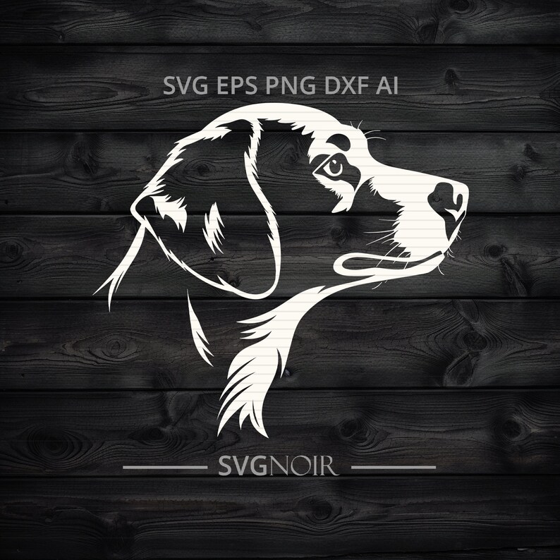 Labrador Dog Vector Clipart in SVG, Ai, DXF, Eps, PNG Cricut ...