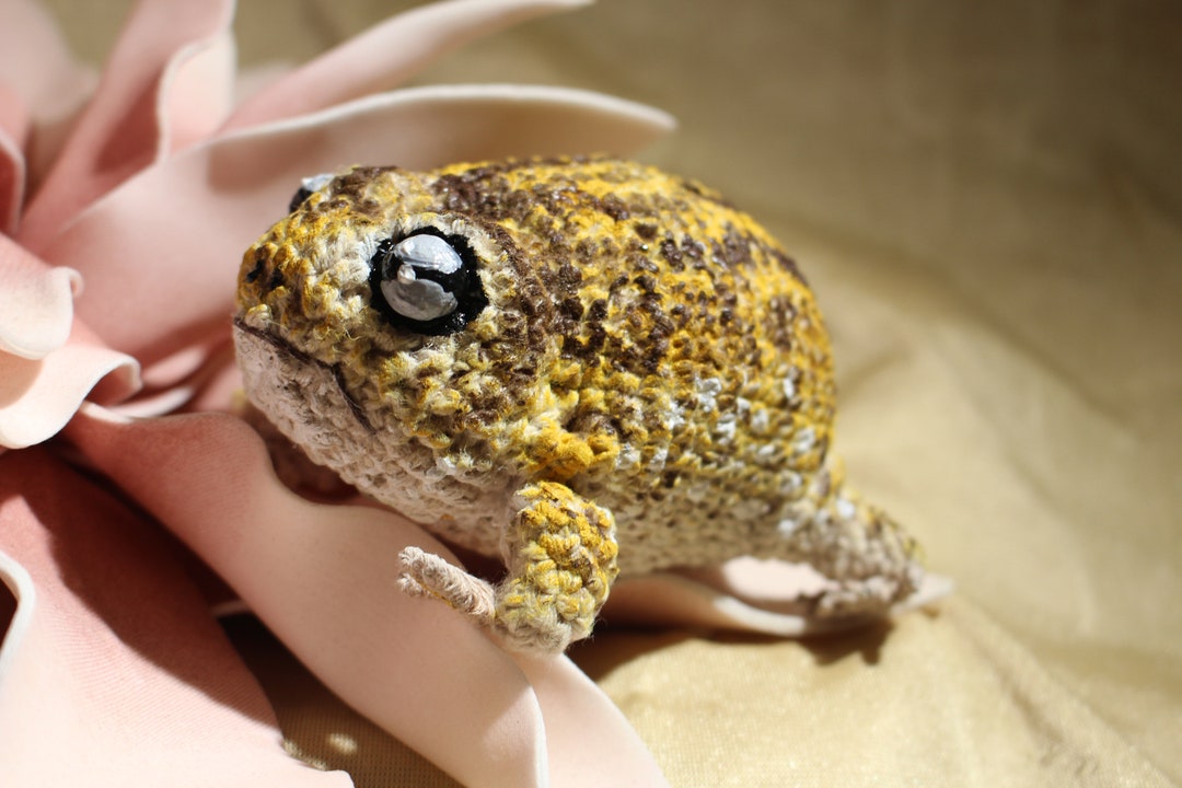 Crochet Pattern Desert Rain Frog Breviceps Macrops Grumpy Frog Desert ...