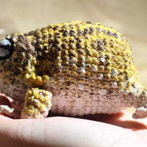 Crochet Pattern Desert Rain Frog Breviceps Macrops Grumpy Frog Desert Rain Frog Rain Frog Angry ...