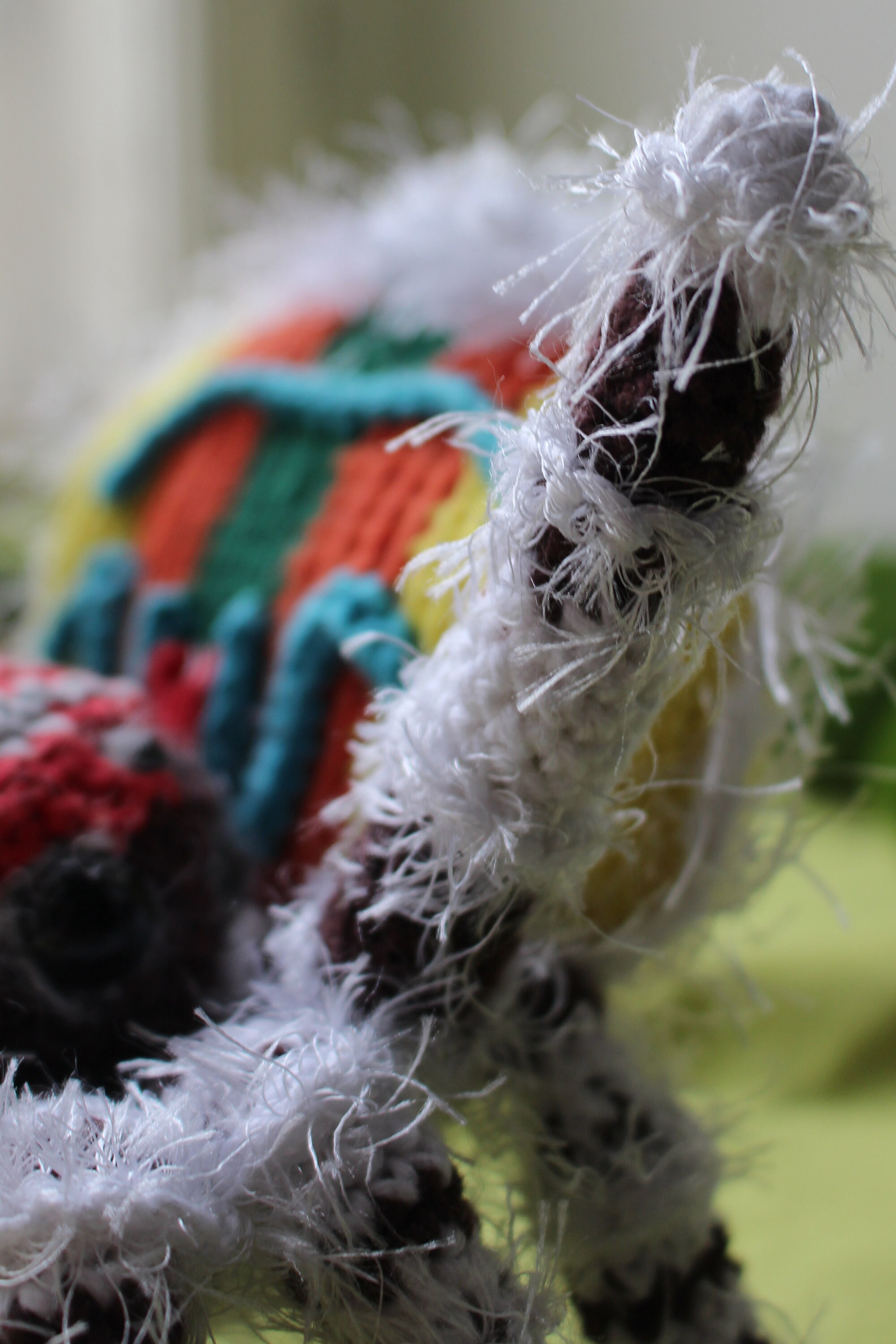 Crochet Pattern Peacock Spider Maratus Volans Crochet Pattern Jumping ...