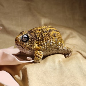 Crochet Pattern Desert Rain Frog Breviceps Macrops Grumpy Frog Desert ...