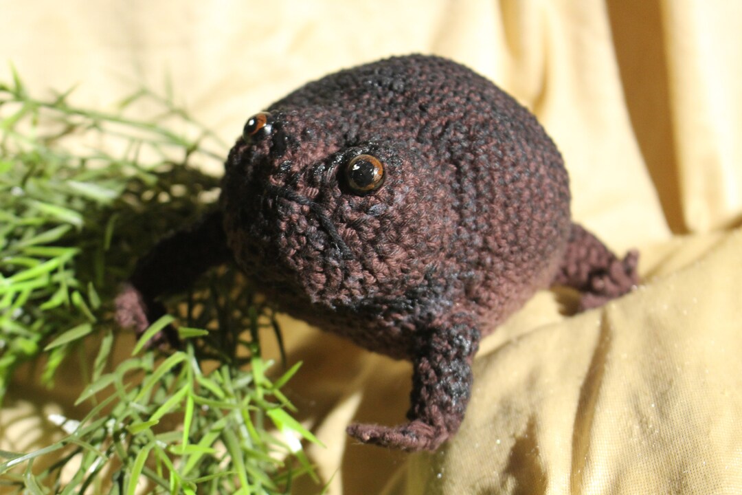 Crochet Pattern Black Rain Frog Breviceps Fuscus Grumpy Frog Black Rain ...