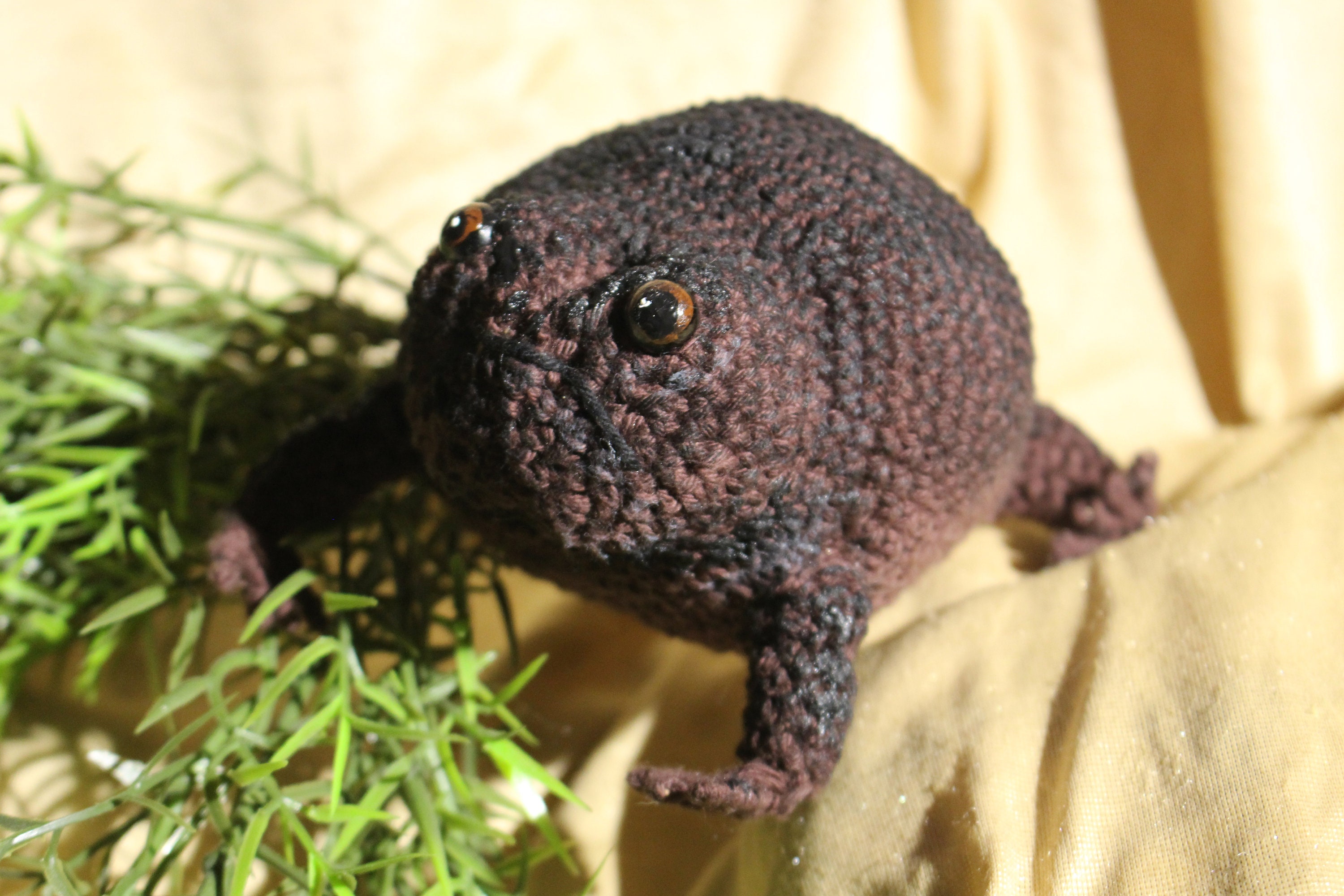 Crochet Pattern Black Rain Frog Breviceps Fuscus Grumpy Frog Black Rain ...