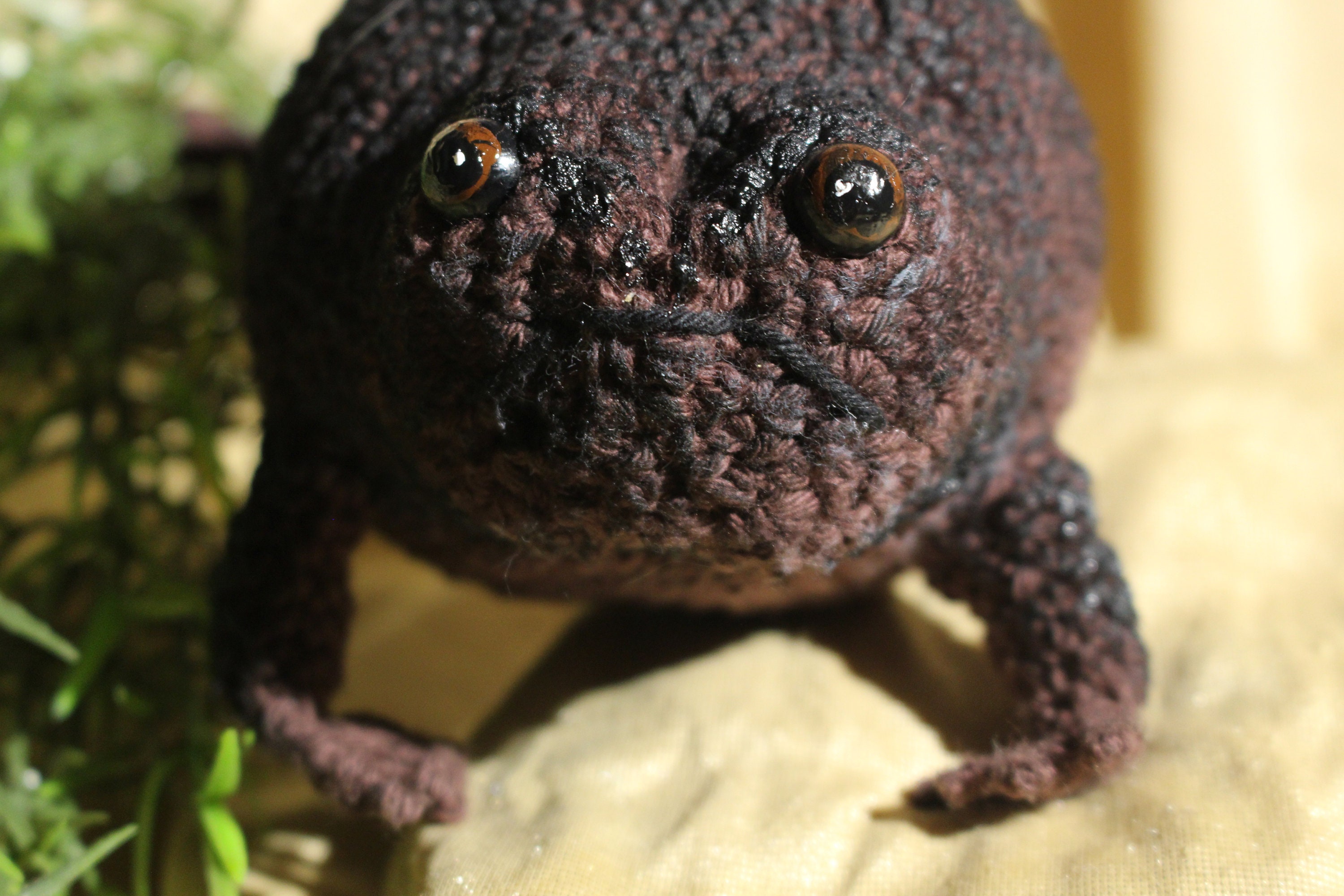 Black Rain Frog Crochet Breviceps Fuscus Grumpy Frog Black Rain Frog ...