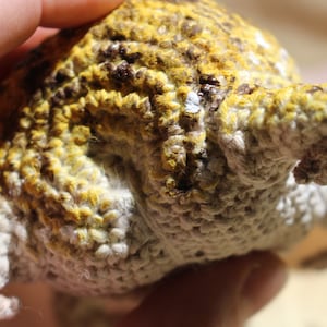 Crochet Pattern Desert Rain Frog Breviceps Macrops Grumpy Frog Desert ...