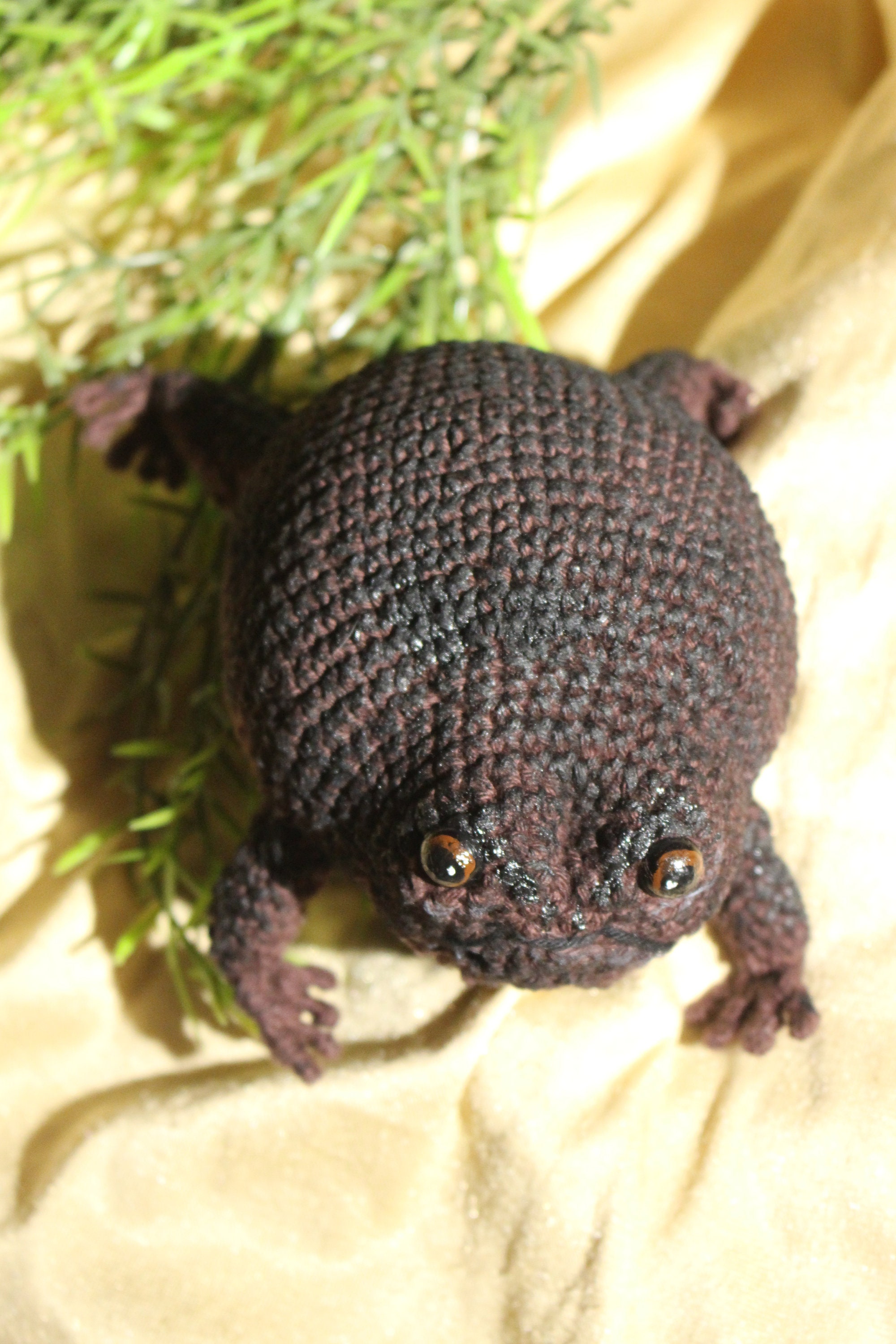 Crochet Pattern Black Rain Frog Breviceps Fuscus Grumpy Frog Black Rain ...
