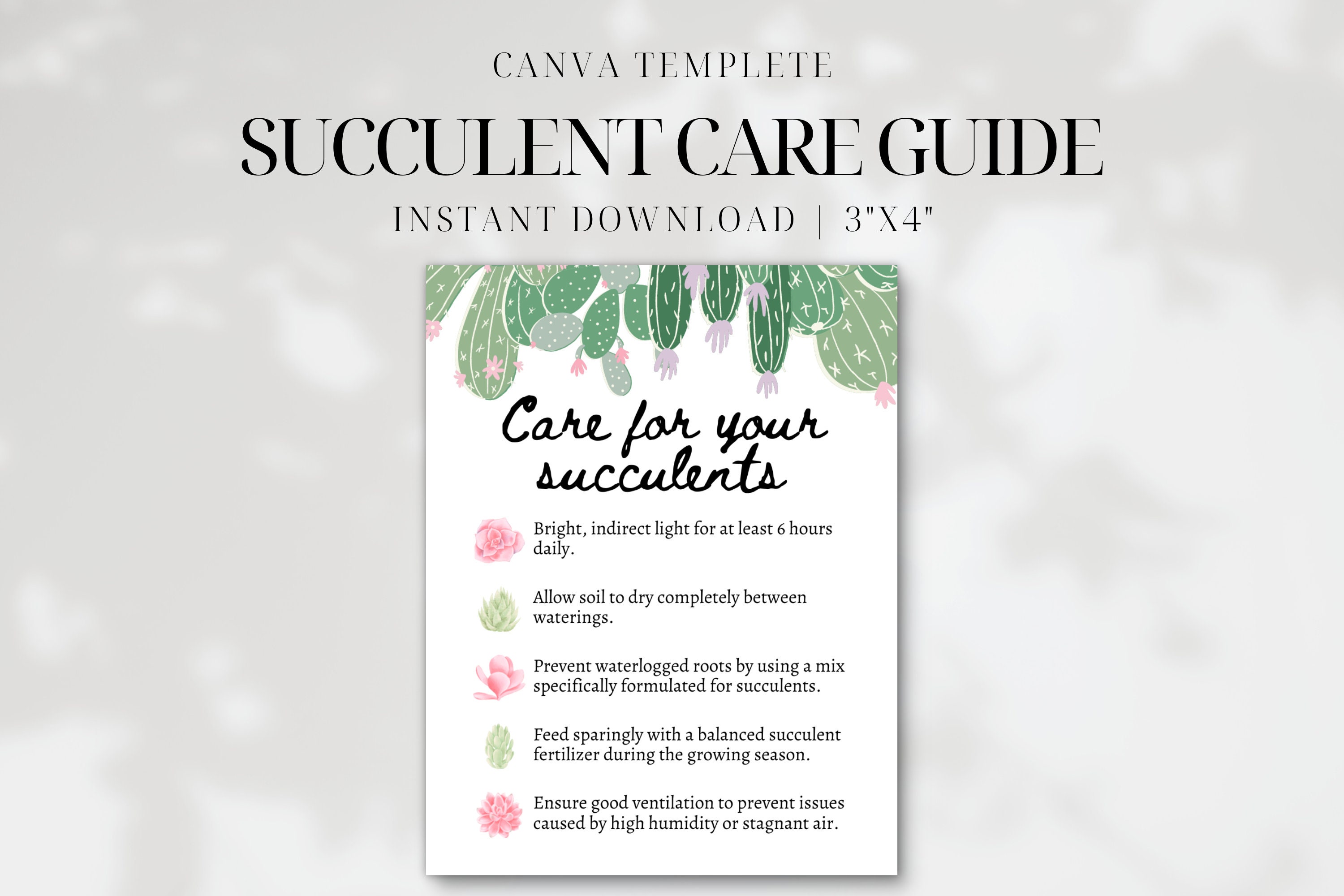 Printable Succulent Care Guide • Cactus and Succulent Care Instruction ...
