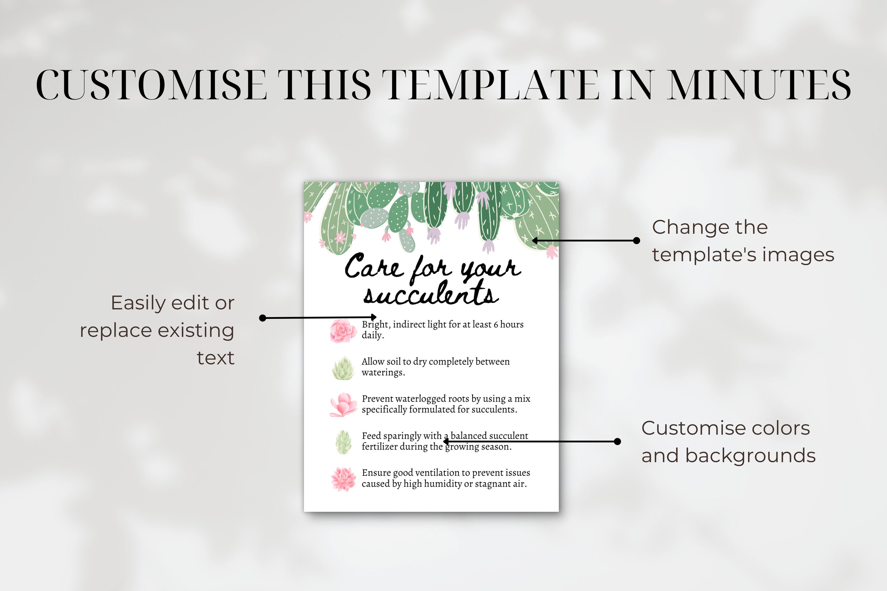 Printable Succulent Care Guide: Editable Canva Template (3"x4") - Etsy