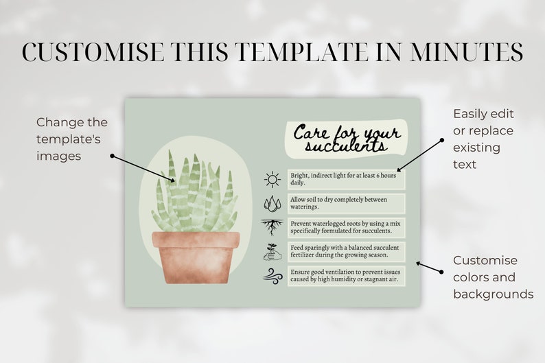 Printable Succulent Care Guide • Cactus and Succulent Care Instruction ...