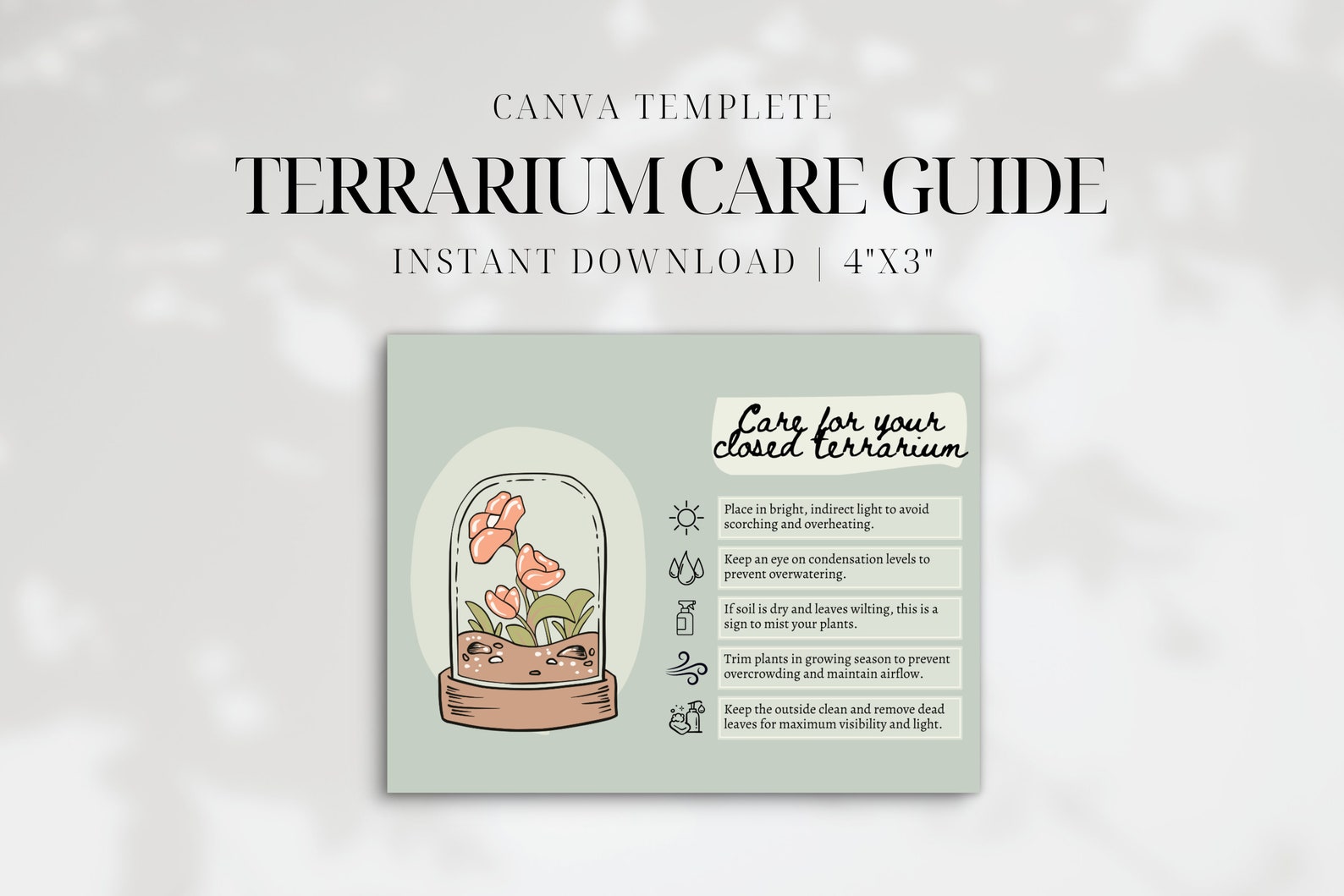 Terrarium Care Guide: Plant Shop Order Insert (editable Canva Template ...