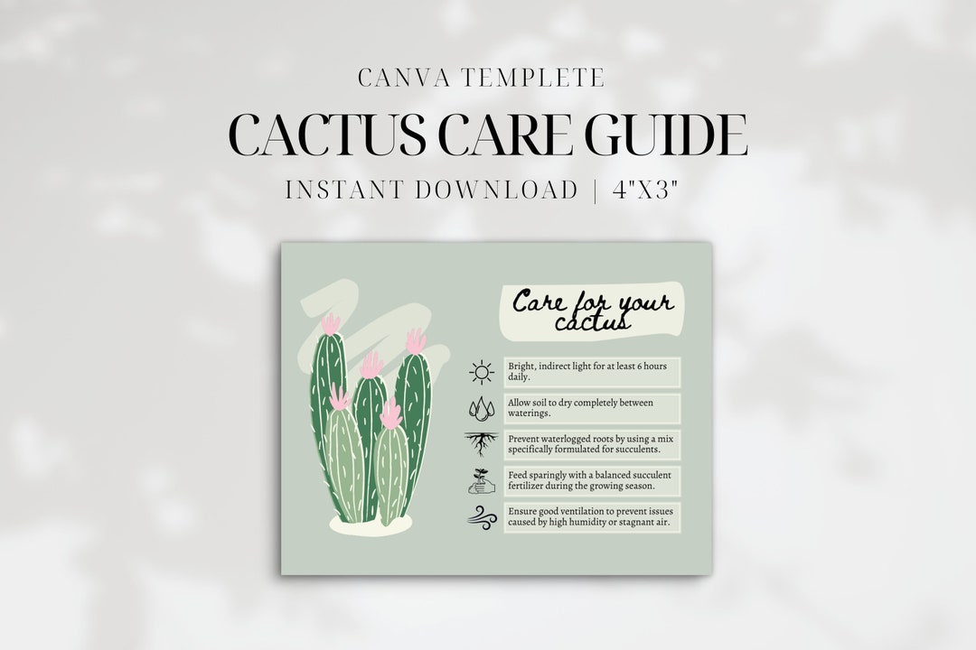 Printable Cactus Care Guide • Cactus and Succulent Care Instruction ...