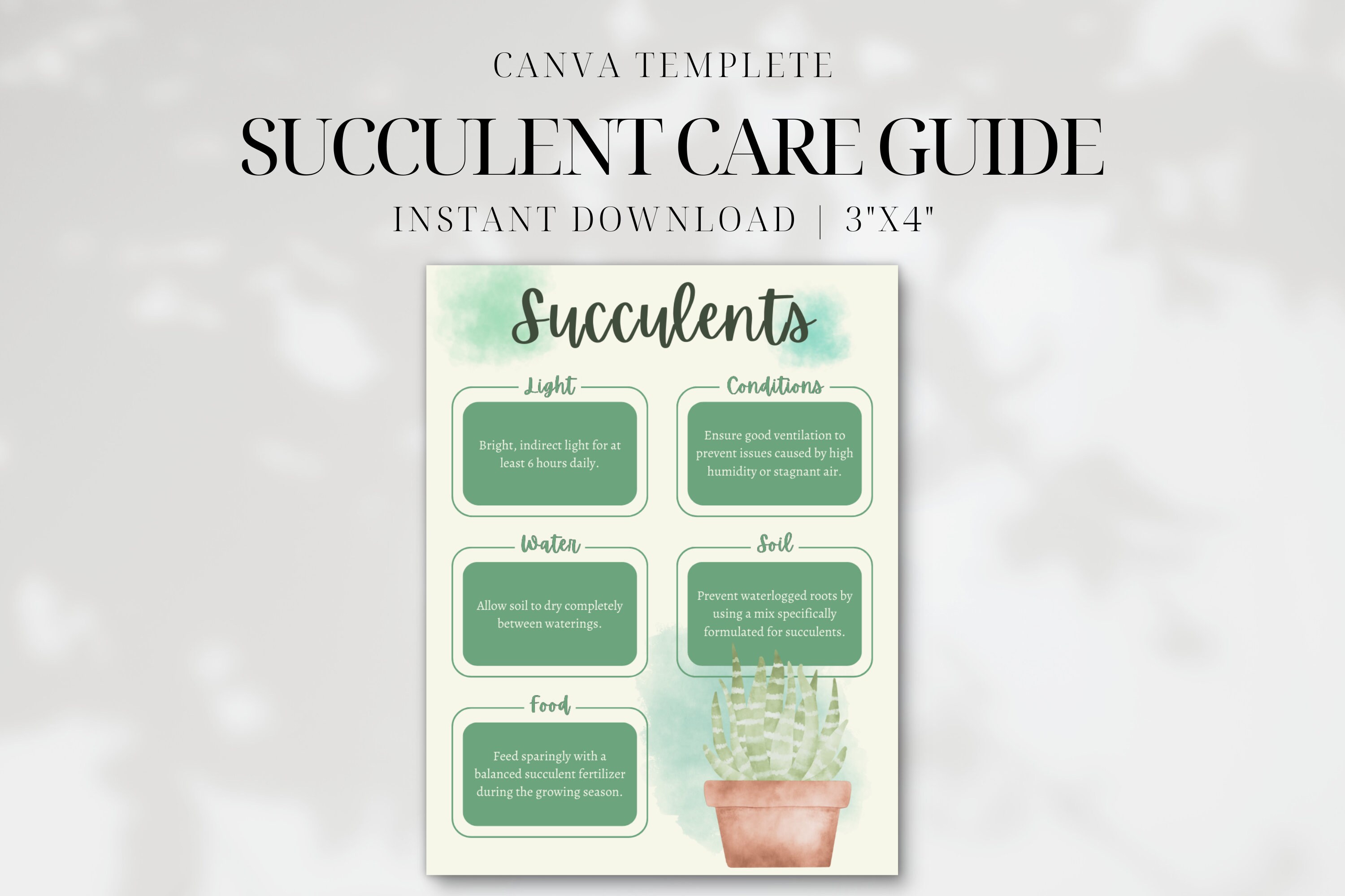Printable Succulent Care Guide • Cactus and Succulent Care Instruction Card • Editable Canva ...