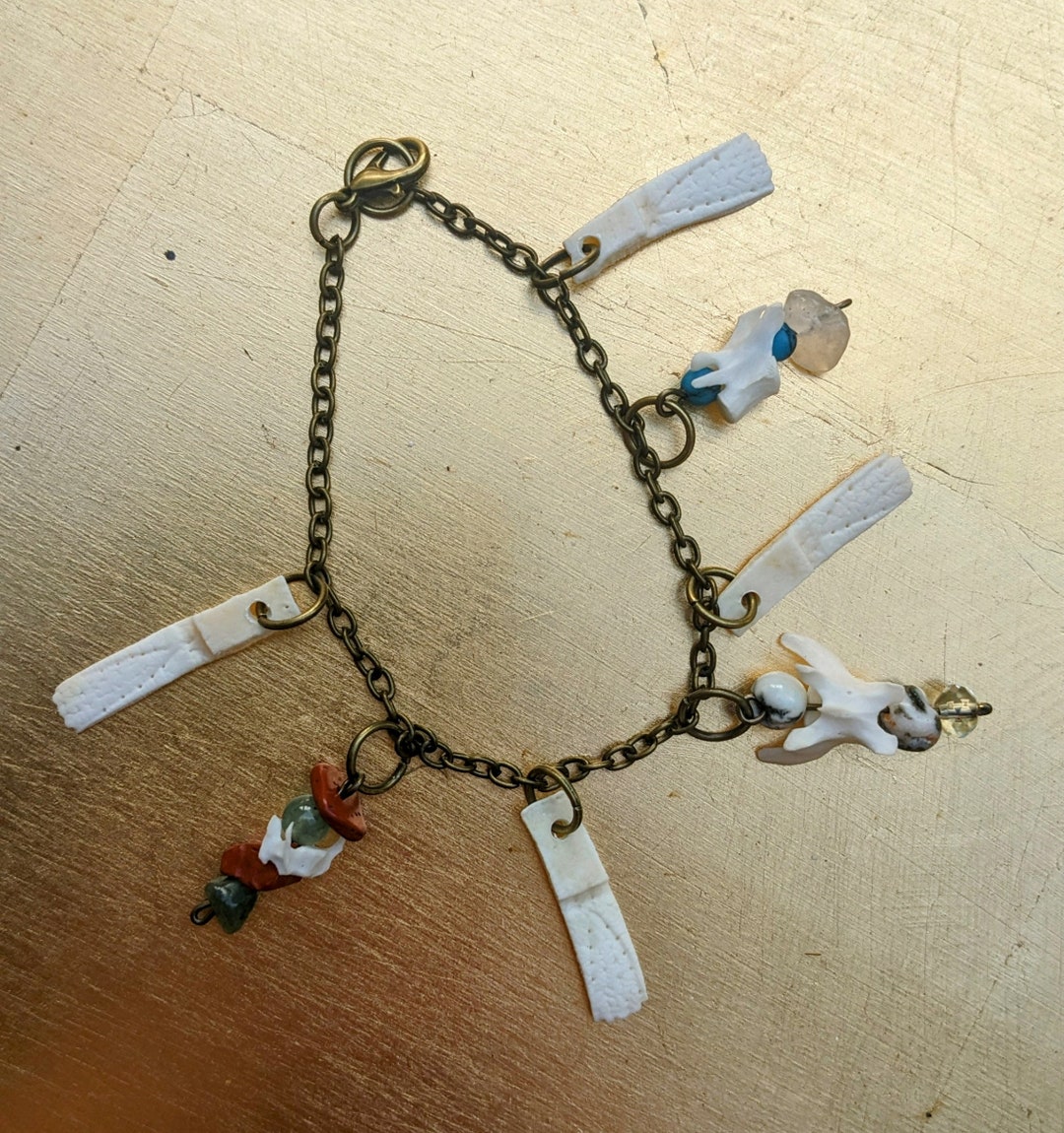 Armadillo Shell and Squirrel Vertebrae Charm Bracelet - Etsy
