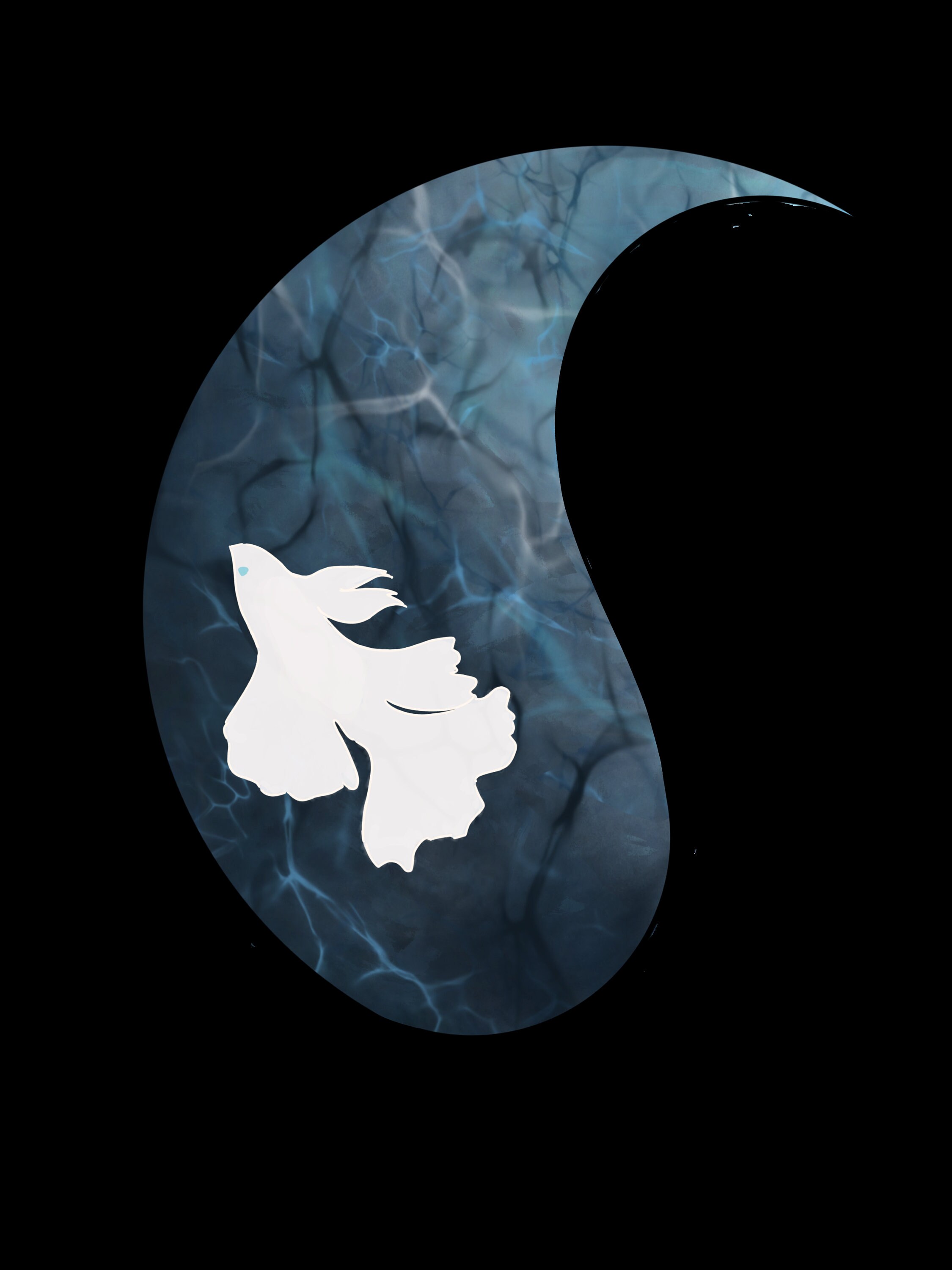 Jujutsu Kaisen Betta Fish Yin and Yang Double-sided Acrylic - Etsy ...